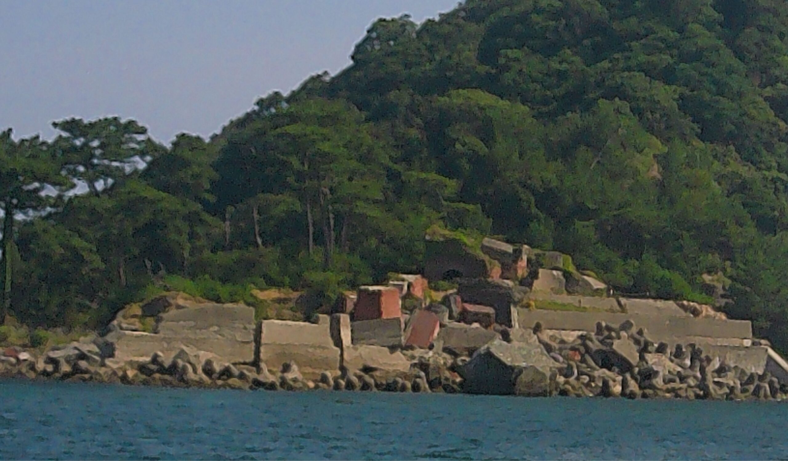 2026年1月15日 | 友ヶ島汽船 公式サイト